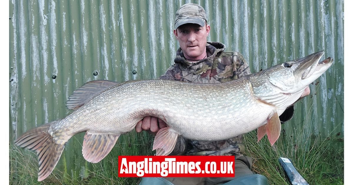 Massive Scottish pike rewards 20-session blank | Angling Times