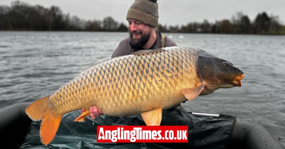 One of the biggest carp in the country banked for the first time ...