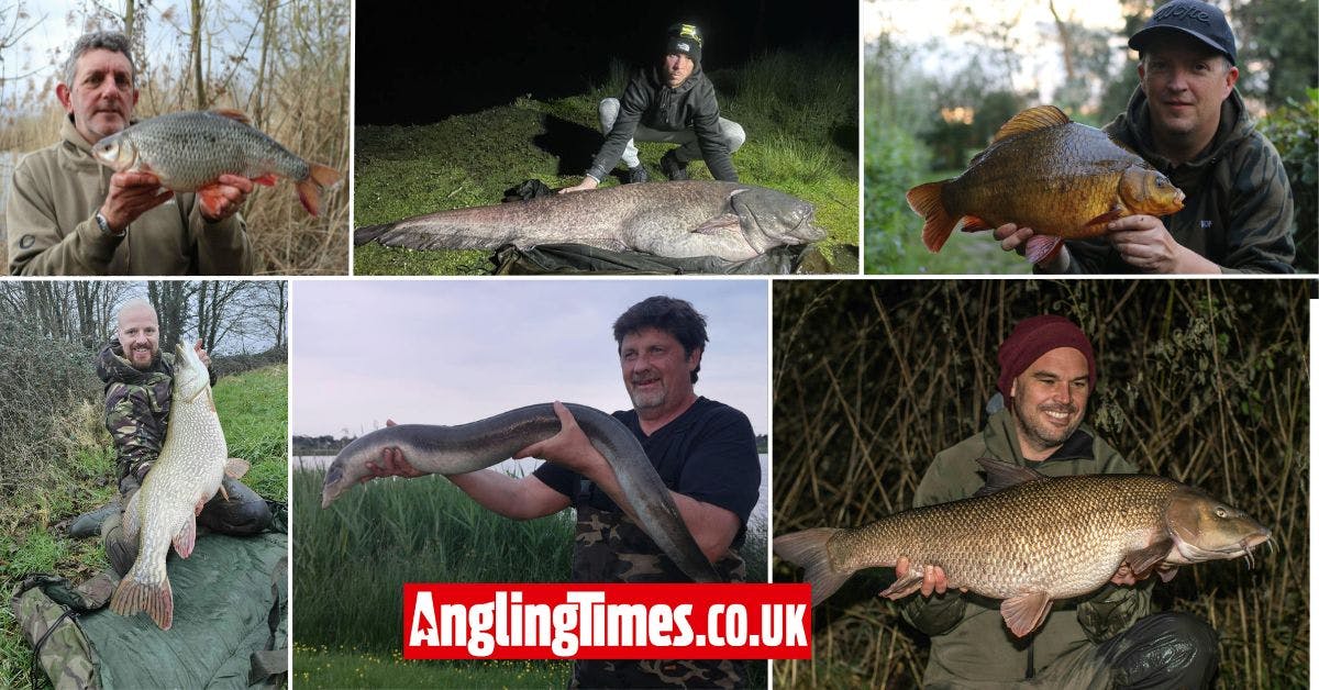 It has been a record year for British Record fish | Angling Times