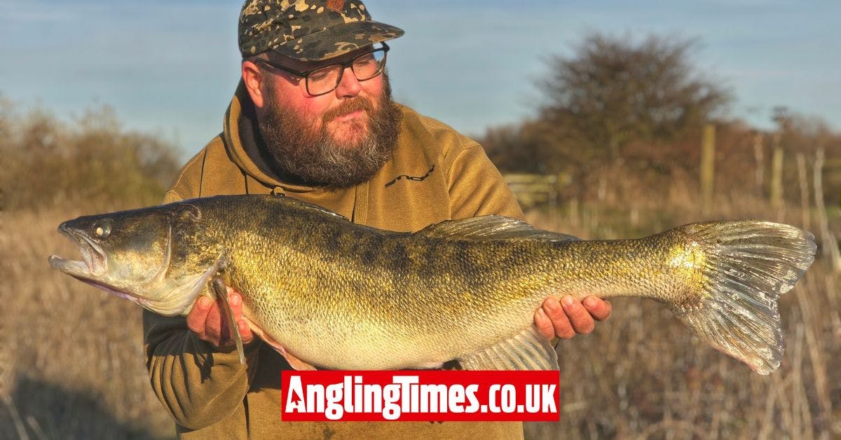 Angler switches attention from carp to land superb zander | Angling Times
