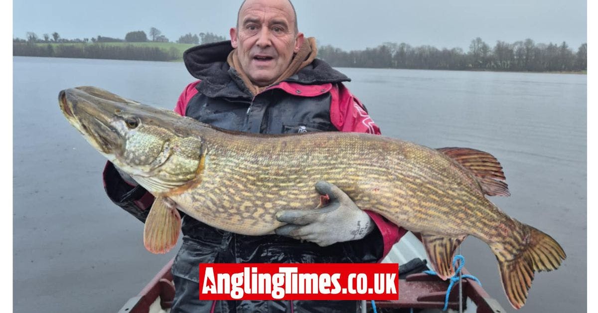 Record shaking pike leaves anglers stunned | Angling Times
