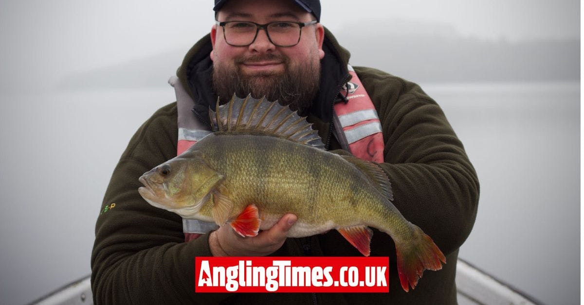 Mega perch landed on first visit to venue | Angling Times
