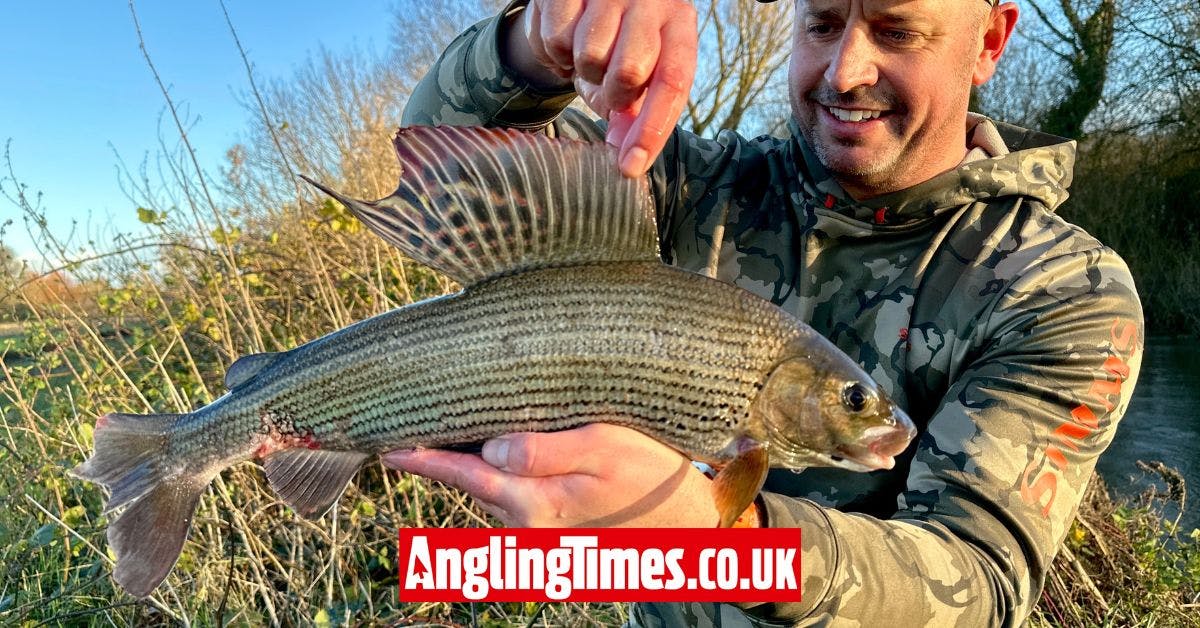 Huge grayling ends year of big fish on high note | Angling Times