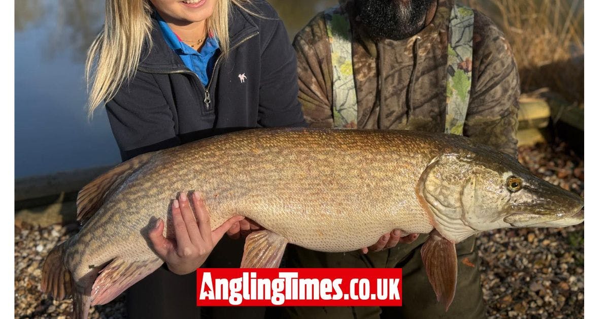 Mythical monster pike caught on fish kebab | Angling Times