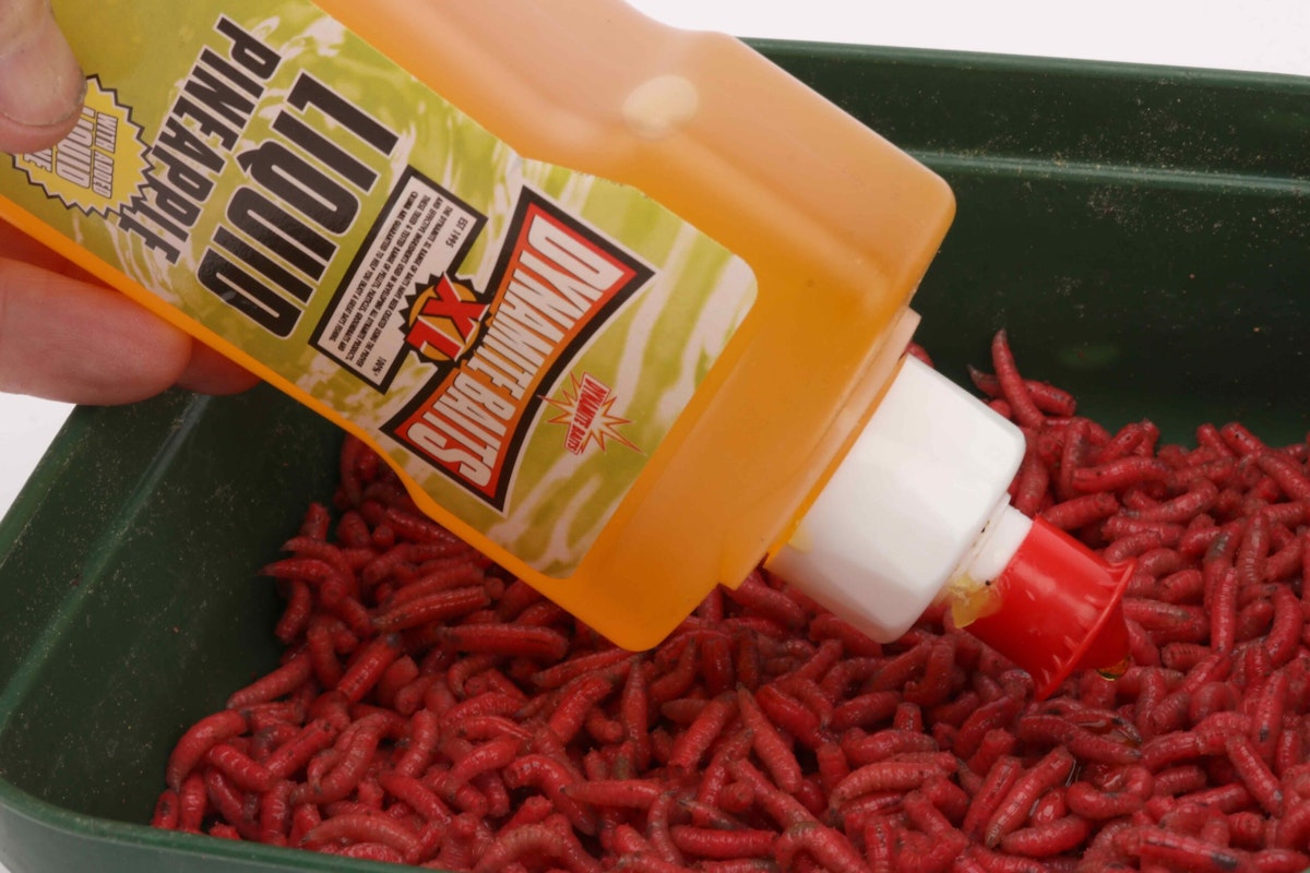 A guide to flavouring fishing bait | Paul Garner | Angling Times