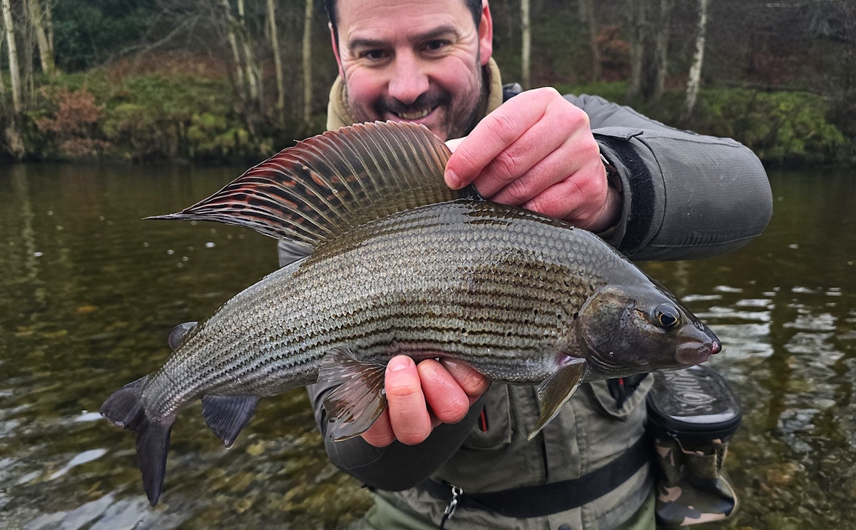 Change of bait is the downfall of glorious grayling | Angling Times
