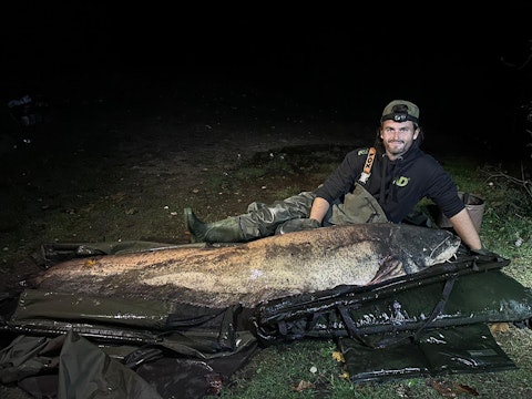 British record catfish landed after 90-minute fight | Angling Times