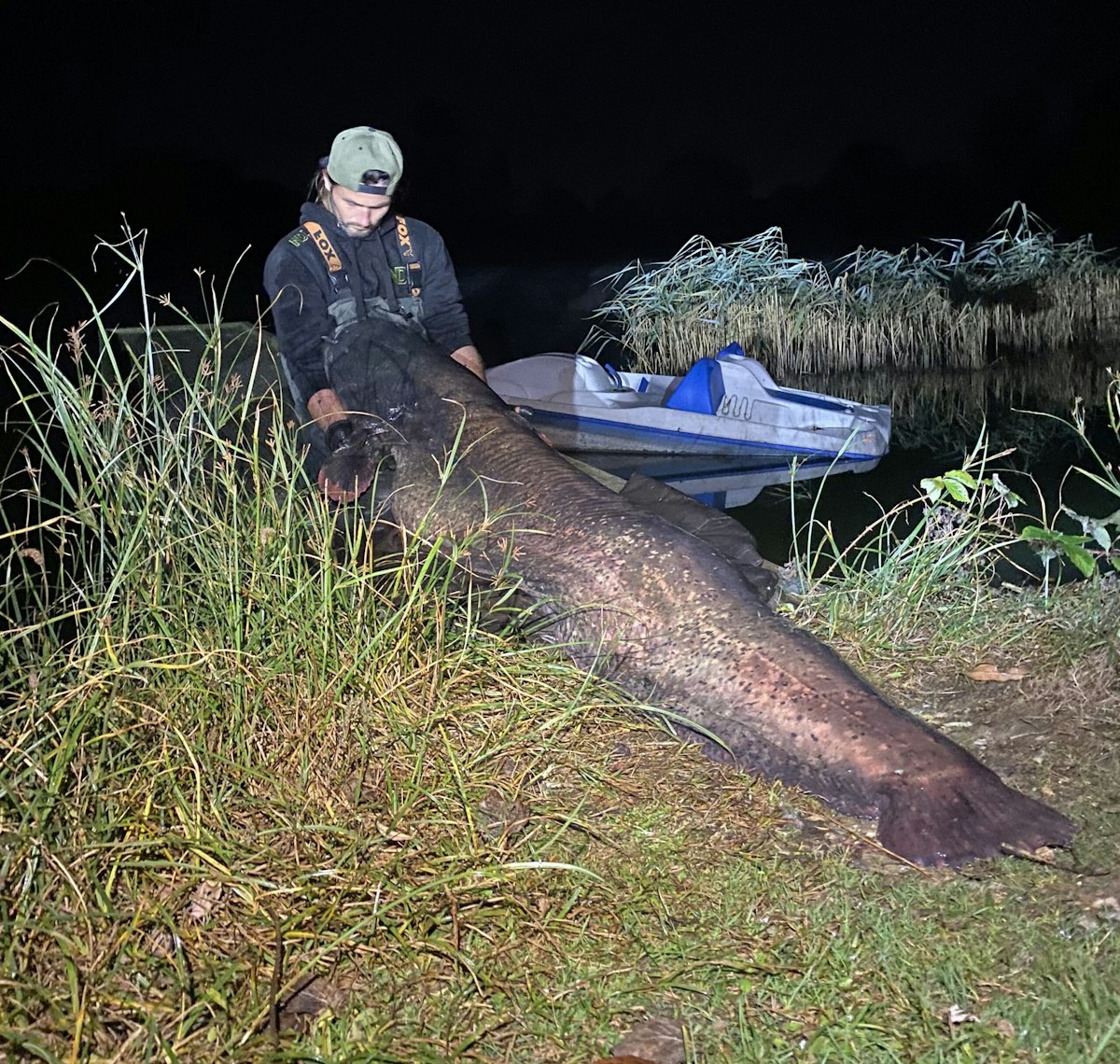 British record catfish landed after 90-minute fight | Angling Times