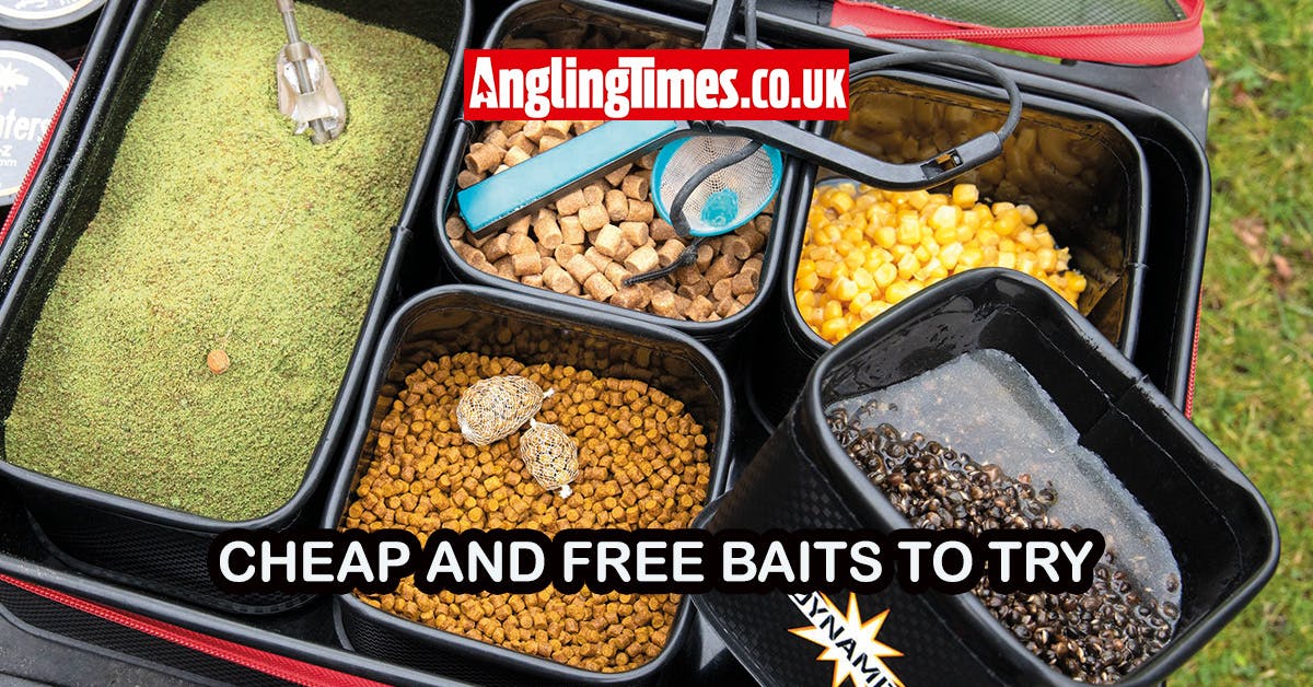 Top Cheap and Free Fishing Baits That Really Work