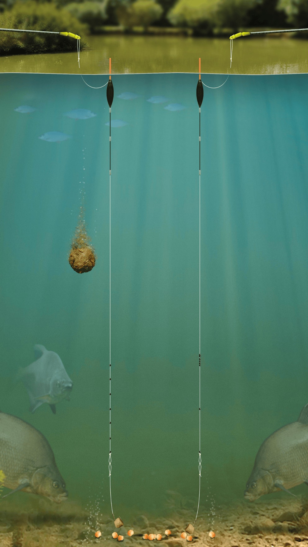 5 Must-Have Silverfish Pole Rigs