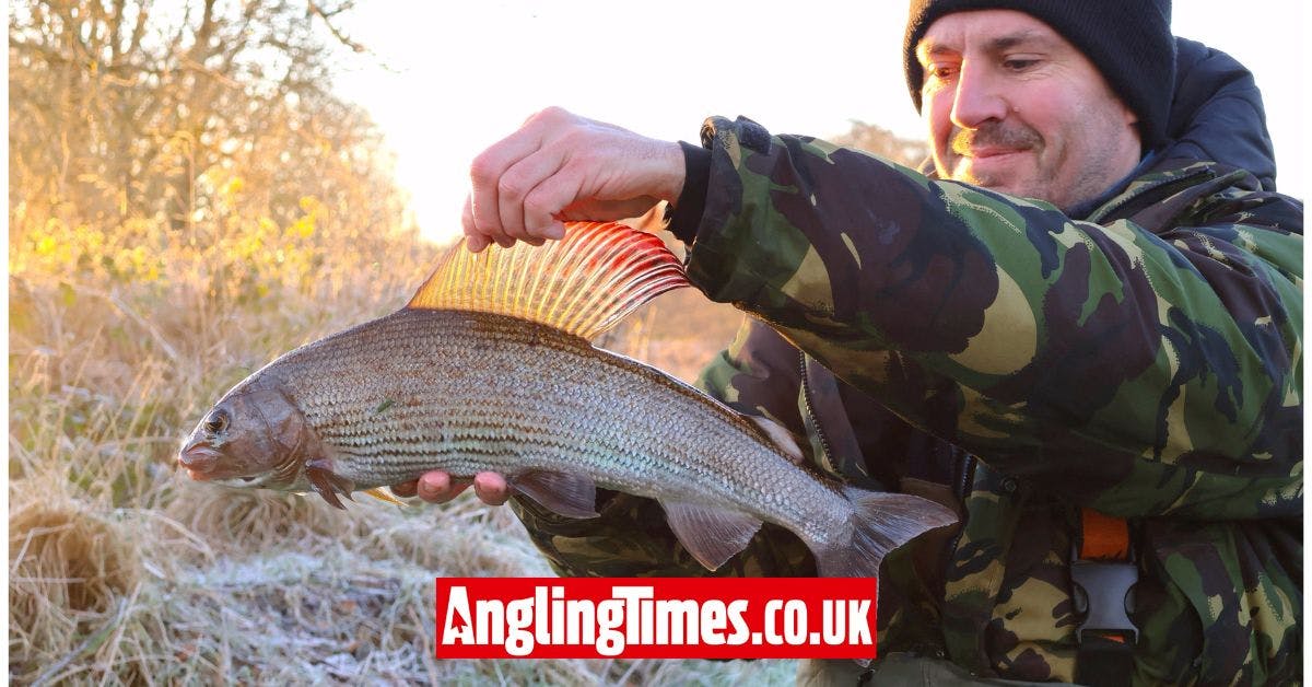 650-mile trip results in impressive grayling capture | Angling Times