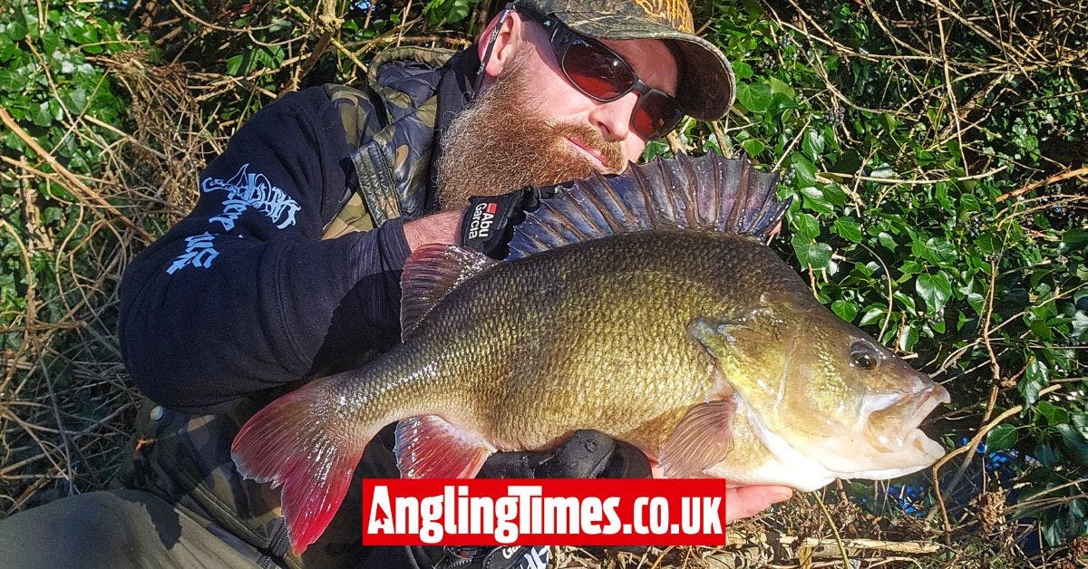Creature bait tempts cracking canal perch | Angling Times