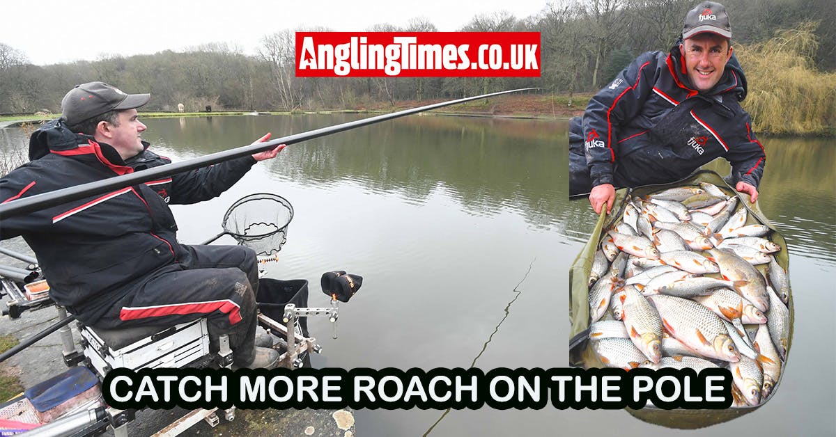 Catch more roach on the pole | Angling Times