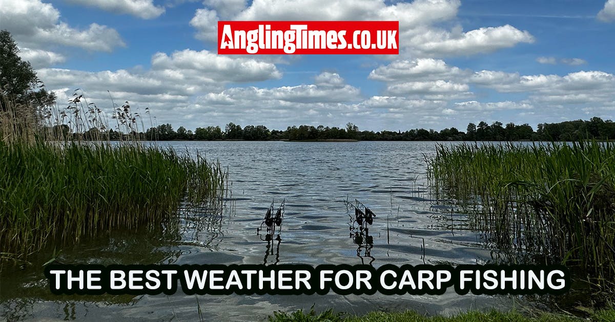 The best weather conditions for carp fishing | Angling Times