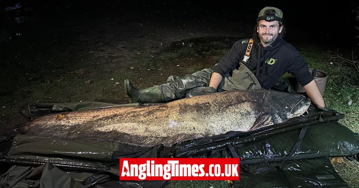 Record Catfish