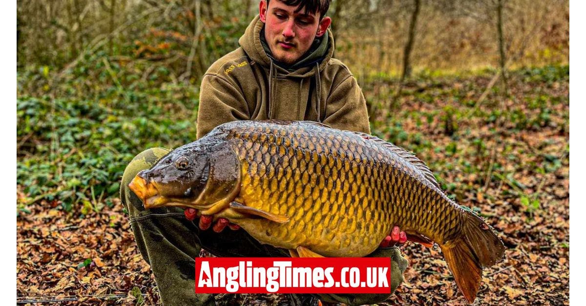 Huge carp caught using lure fishing tactics | Angling Times