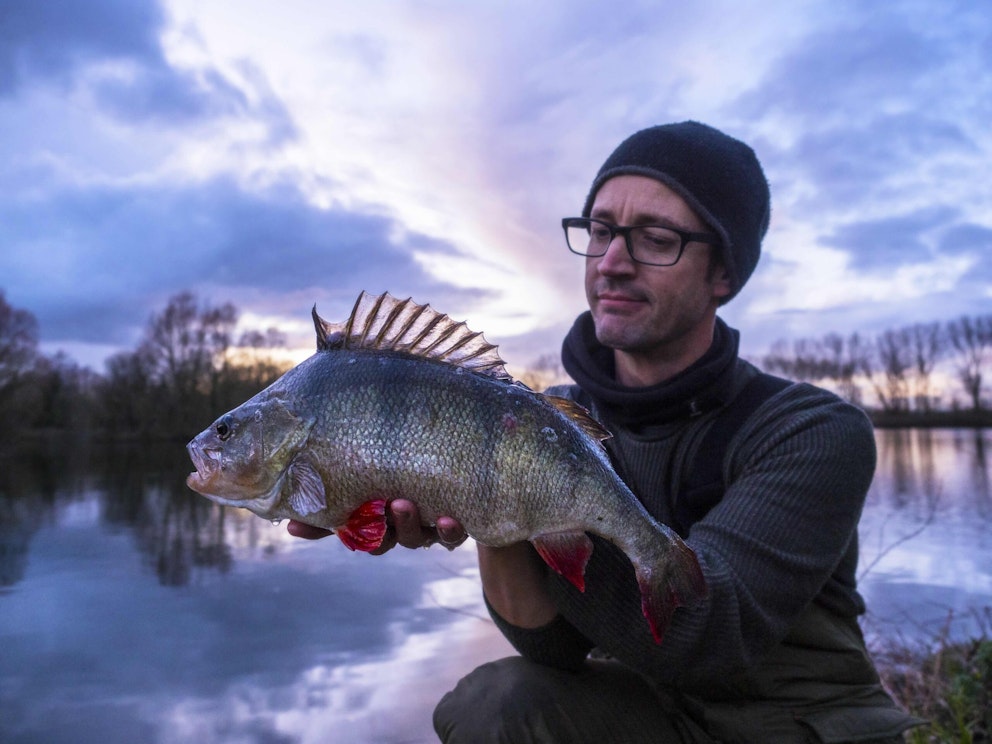 How to catch perch on lures after dark | Angling Times