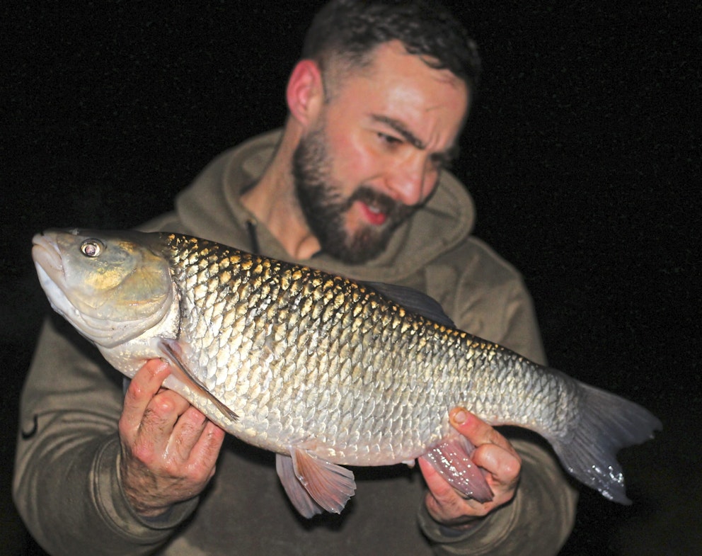 Quiet stretch produces a whacking great chub | Angling Times