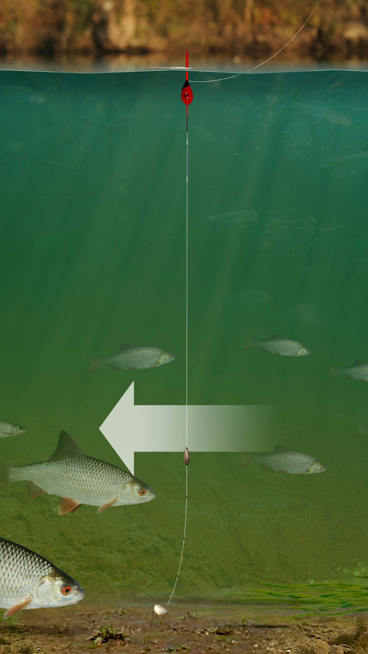 The best pole rigs for fishing on rivers | Angling Times