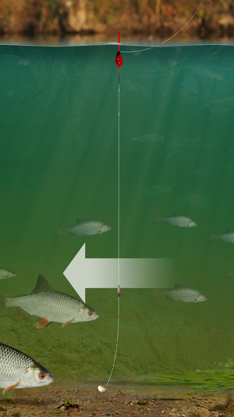 The best pole rigs for fishing on rivers | Angling Times