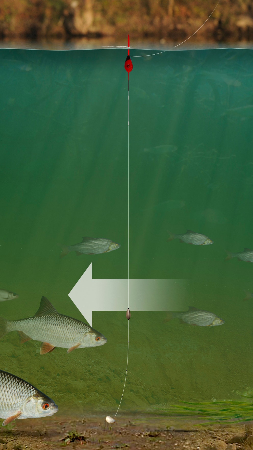 The best pole rigs for fishing on rivers | Angling Times