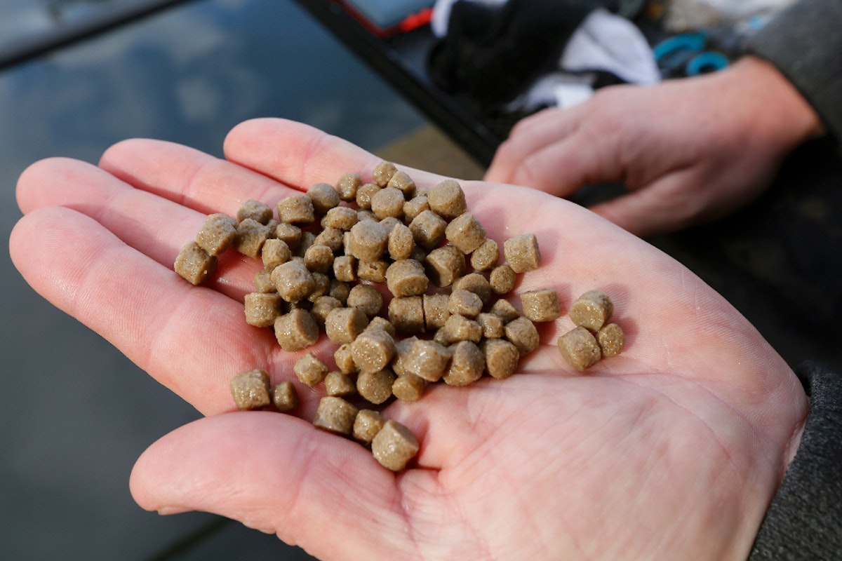 How to Prepare Pellets for Fishing