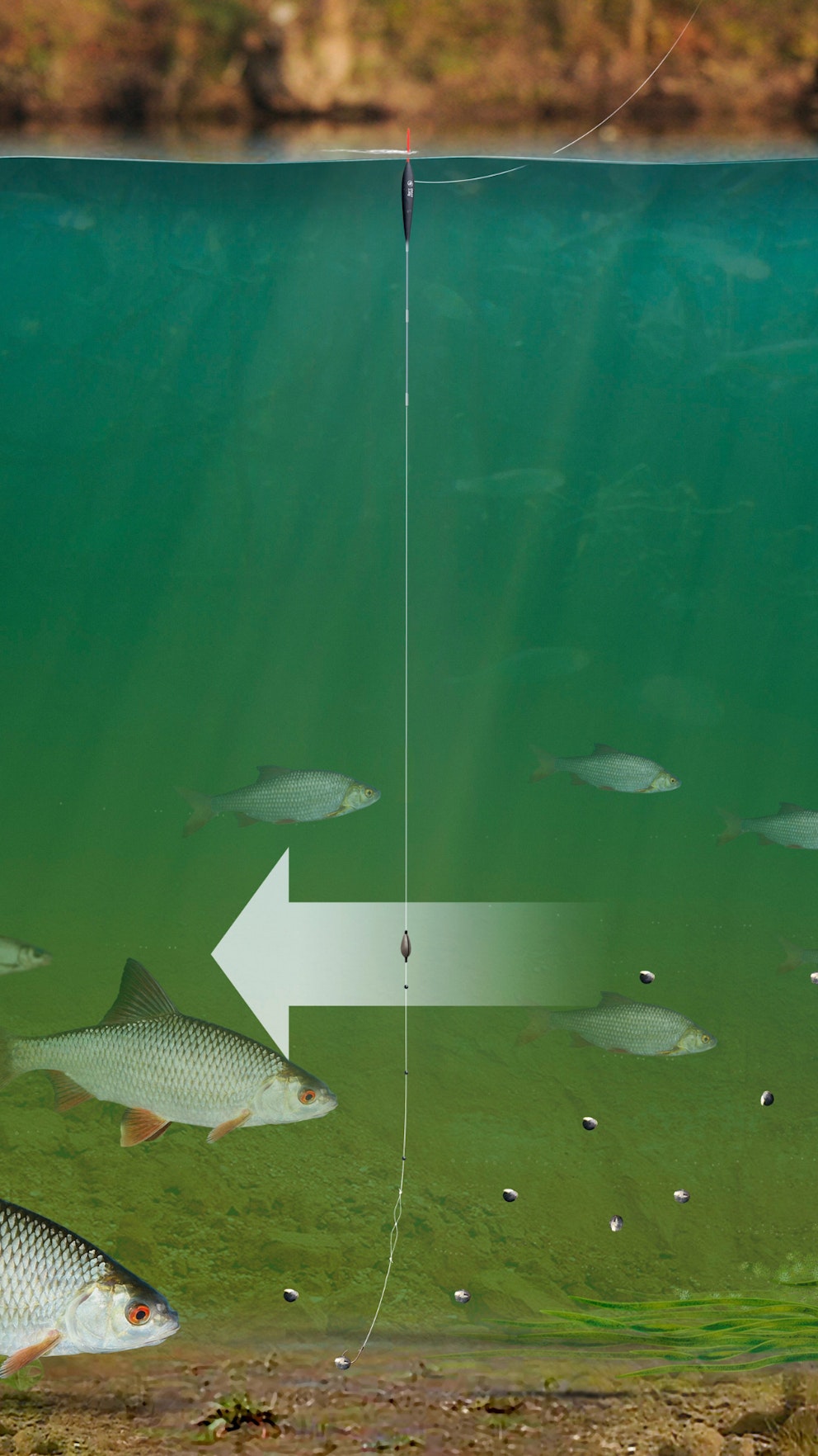 The best pole rigs for fishing on rivers | Angling Times