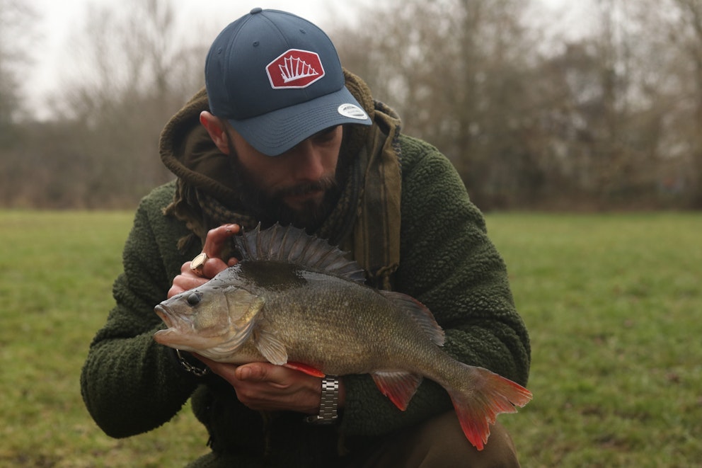 Thames perch campaign results in dream fishing | Angling Times
