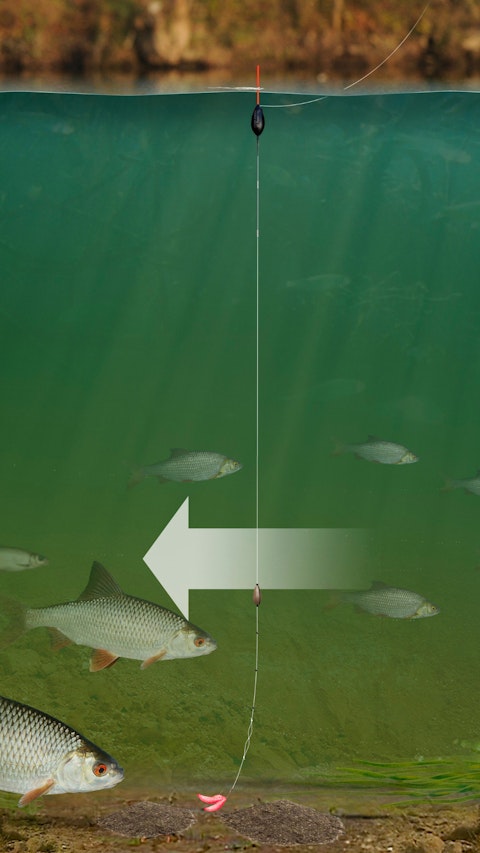 The best pole rigs for fishing on rivers | Angling Times