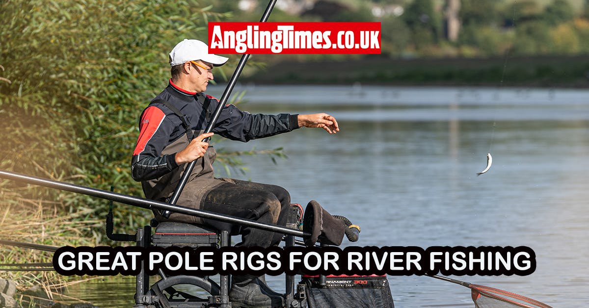 The best pole rigs for fishing on rivers | Angling Times