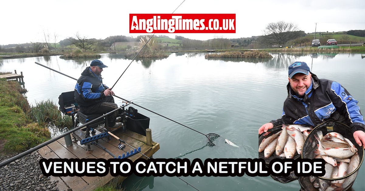 Where to fish : catch a netful of ide