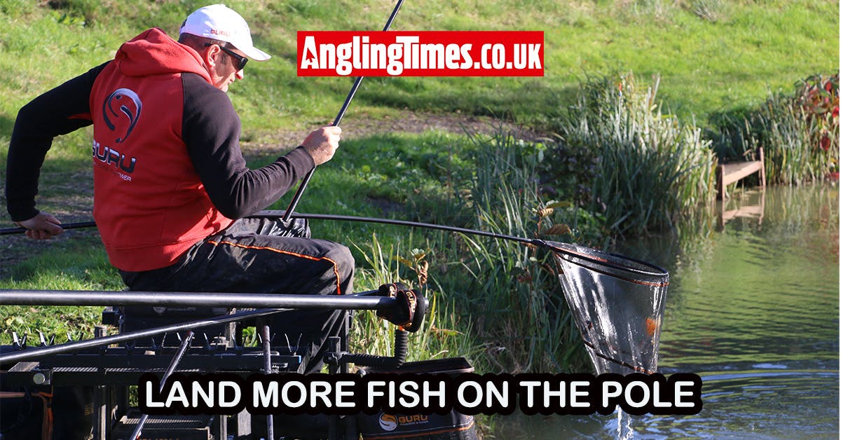 How to land more fish on the pole | Steve Ringer | Angling Times