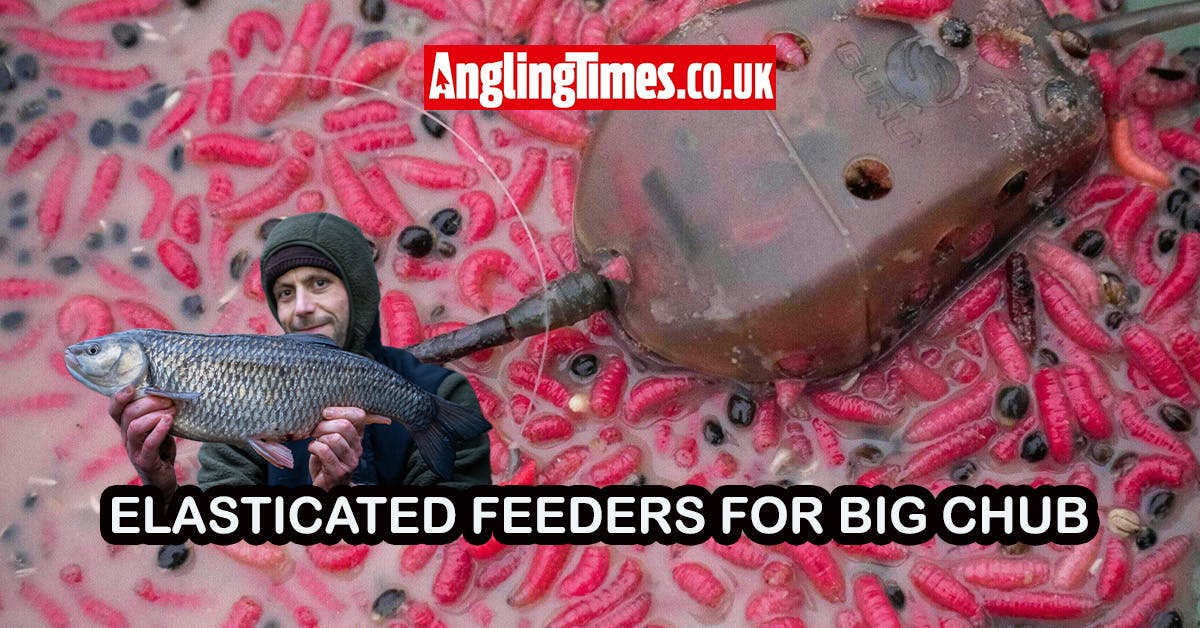 Try this elasticated feeder for big chub | Angling Times