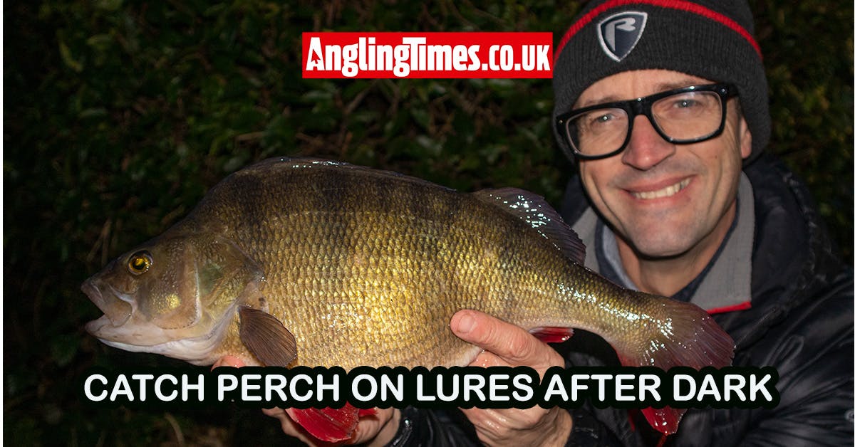 How to catch perch on lures after dark | Angling Times
