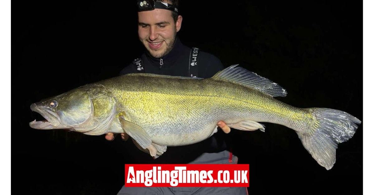 Angler lands zander of a lifetime from local river | Angling Times