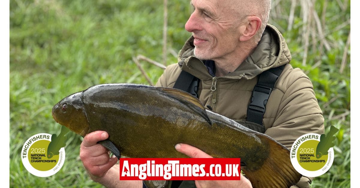 The British Tench Championships are back for 2025! | Angling Times