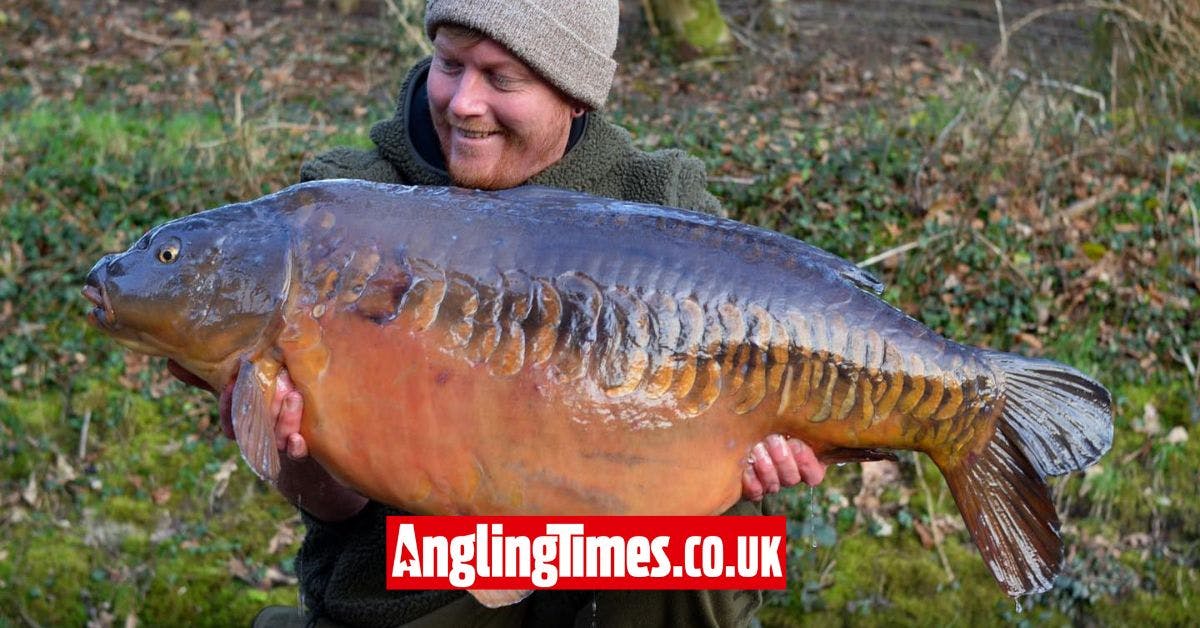 Huge carp is one of the biggest ever banked from Cornwall | Angling Times