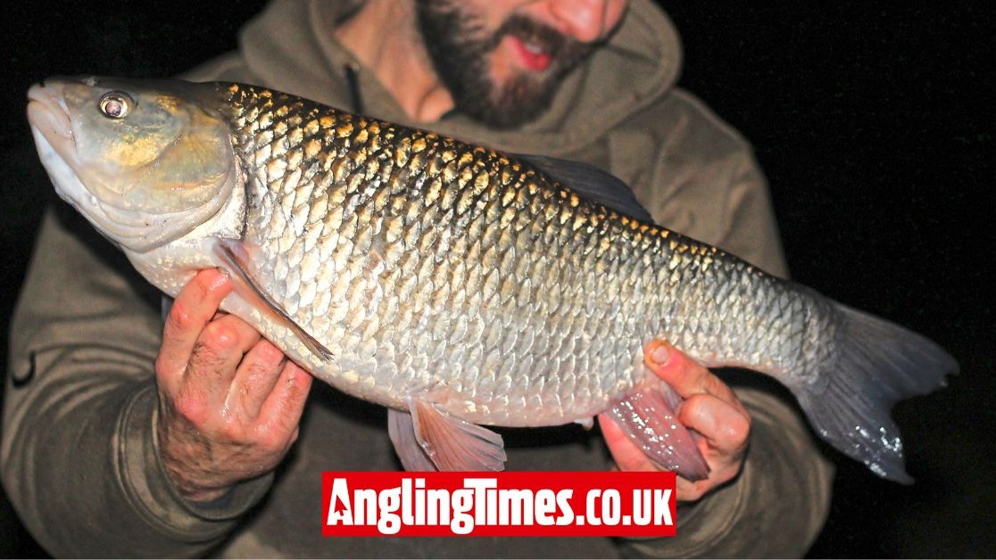 Quiet stretch produces a whacking great chub | Angling Times Quiet stretch produces a whacking great chub | Angling Times