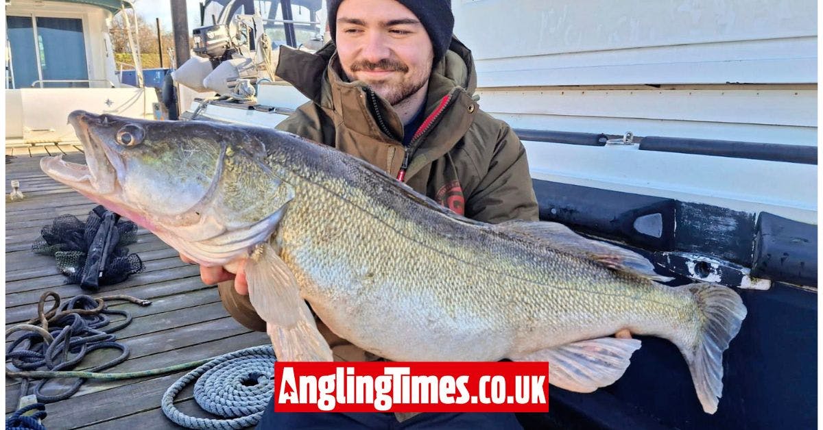 Angler’s first zander is a beast from the River Severn | Angling Times