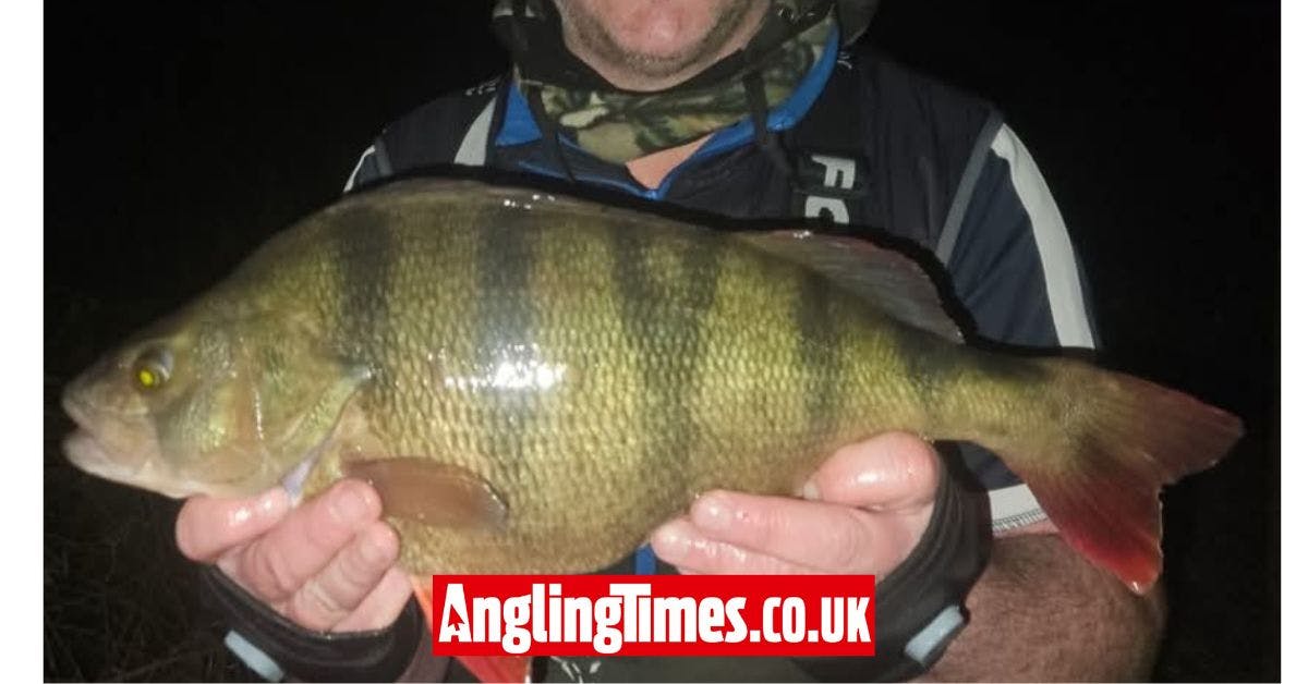 ‘Lamping’ helps bank specimen perch at night | Angling Times