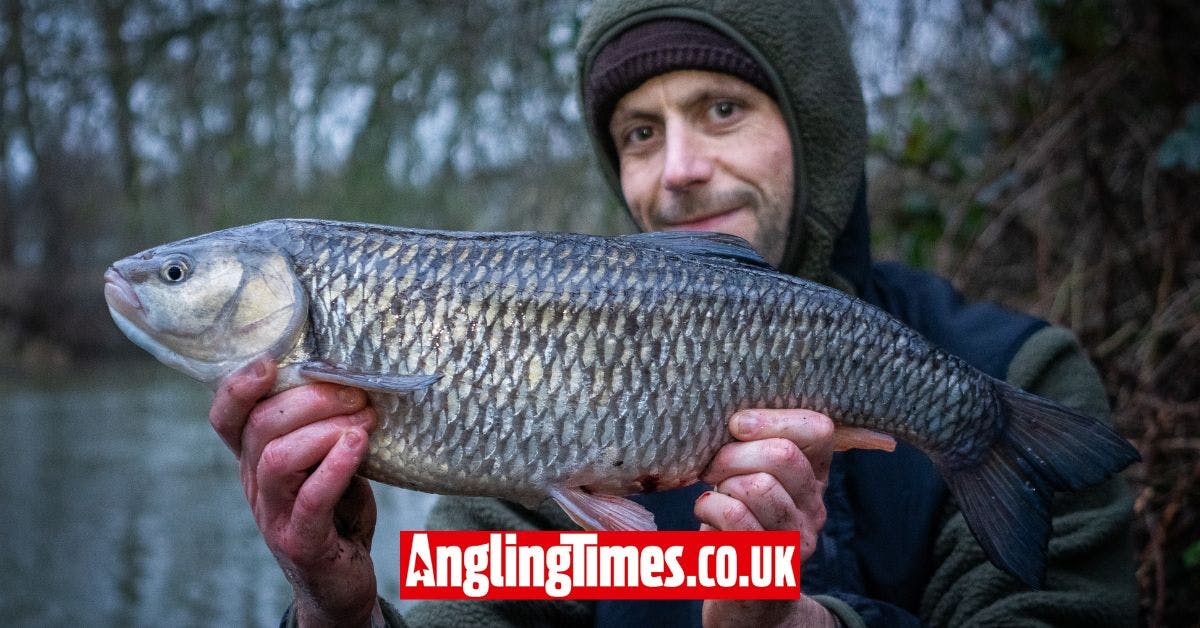 Switch to the elasticated maggot to catch big chub | Angling Times