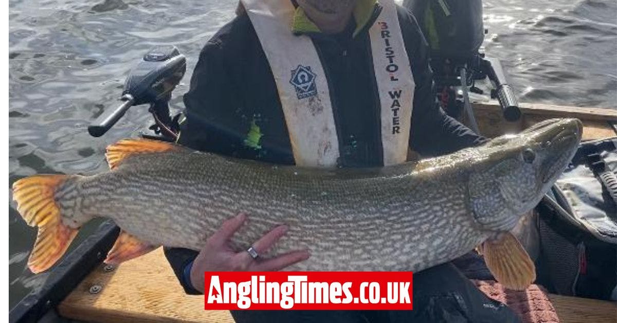 Lure angler catches enormous pike to break record | Angling Times
