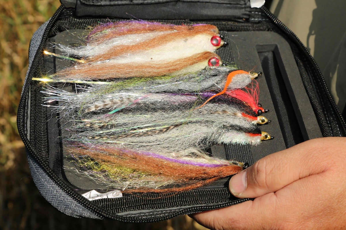 How to catch pike on the fly | Angling Times