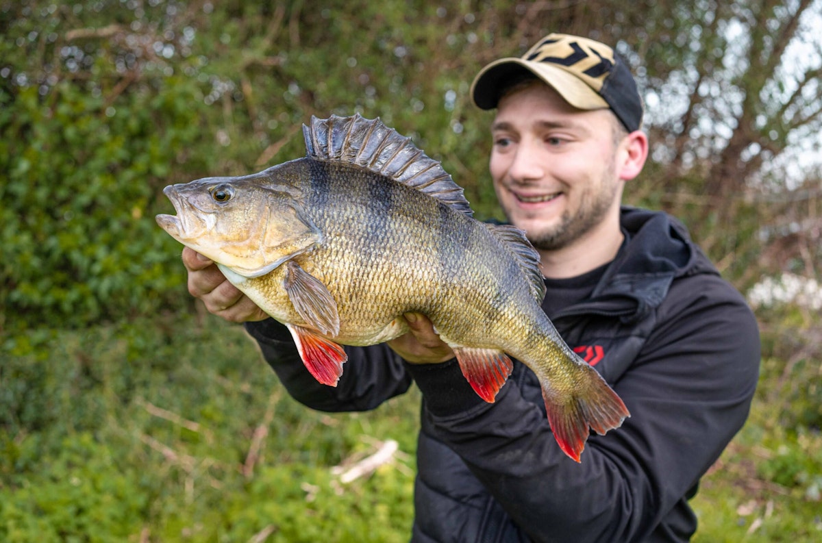 Tips to catch your biggest-ever river perch | Angling Times