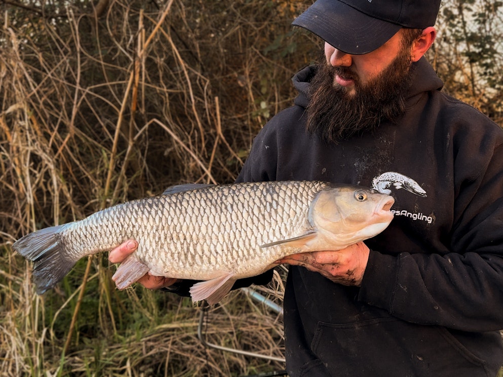 Giant chub captures bring the season to an end in style | Angling Times