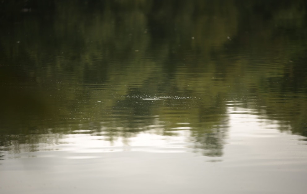How to find carp on a lake | crucial signs to look for | Angling Times