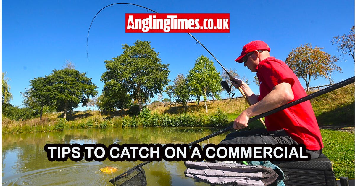 Top tips to catch more on a commercial fishery | Angling Times