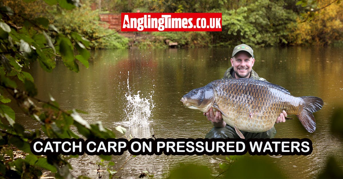Carp fishing on pressured waters | bait and tips guide | Angling Times