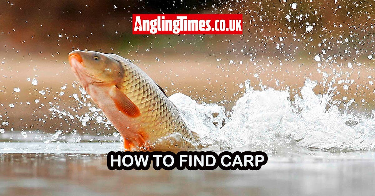 How to find carp on a lake | crucial signs to look for | Angling Times