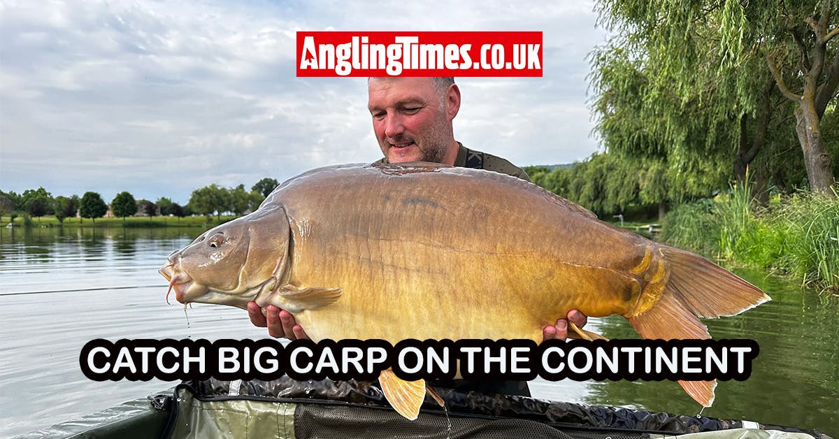 Top tips for catching carp abroad | Holiday fishing guide | Angling Times